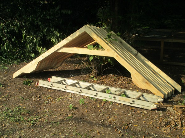 Building a Chicken Coop: Part 1 – Scott Family Homestead